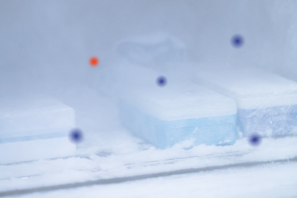 Temperature Mapping Services I Pacific Science, LLC